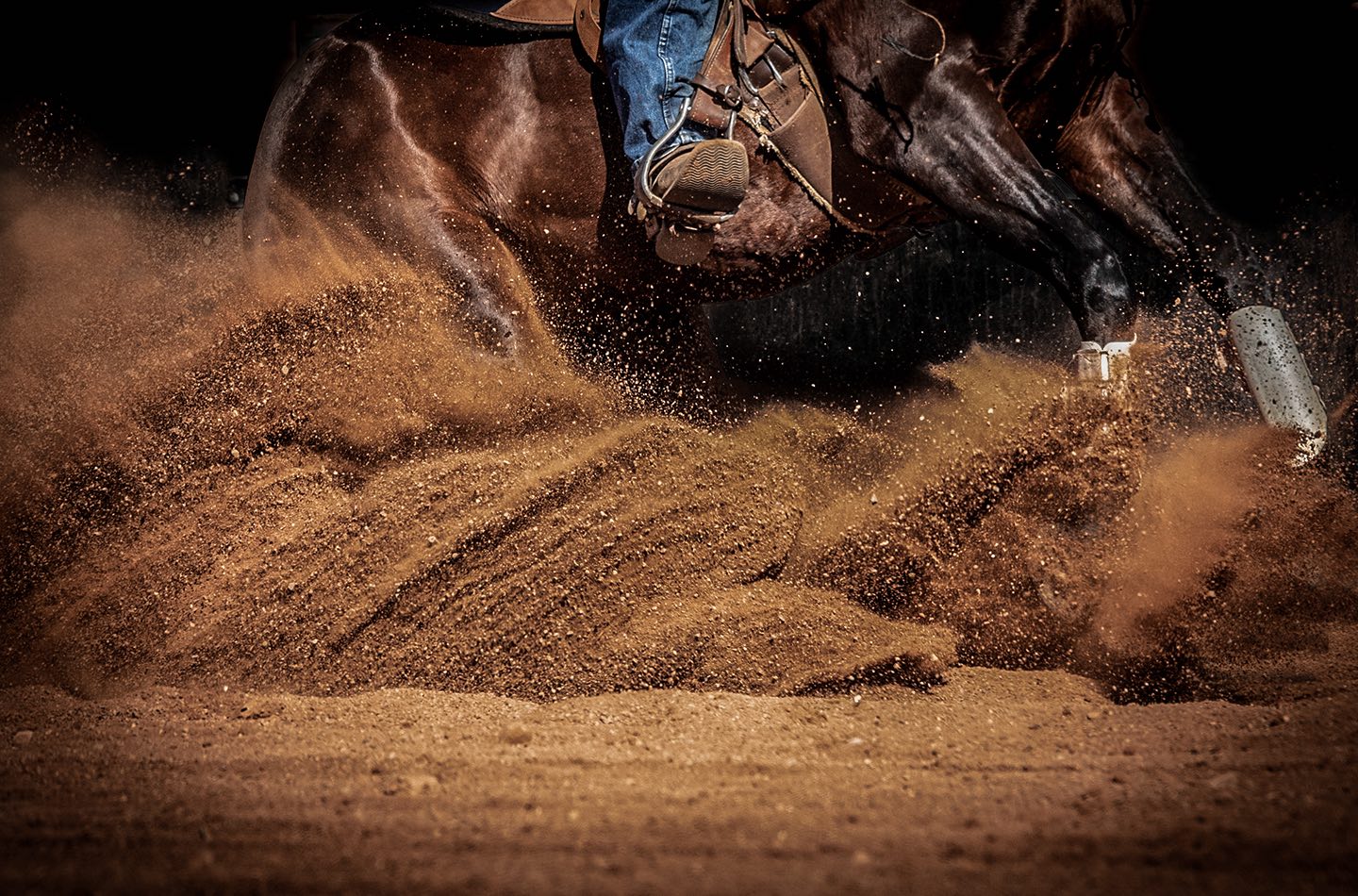 Eminent Equine